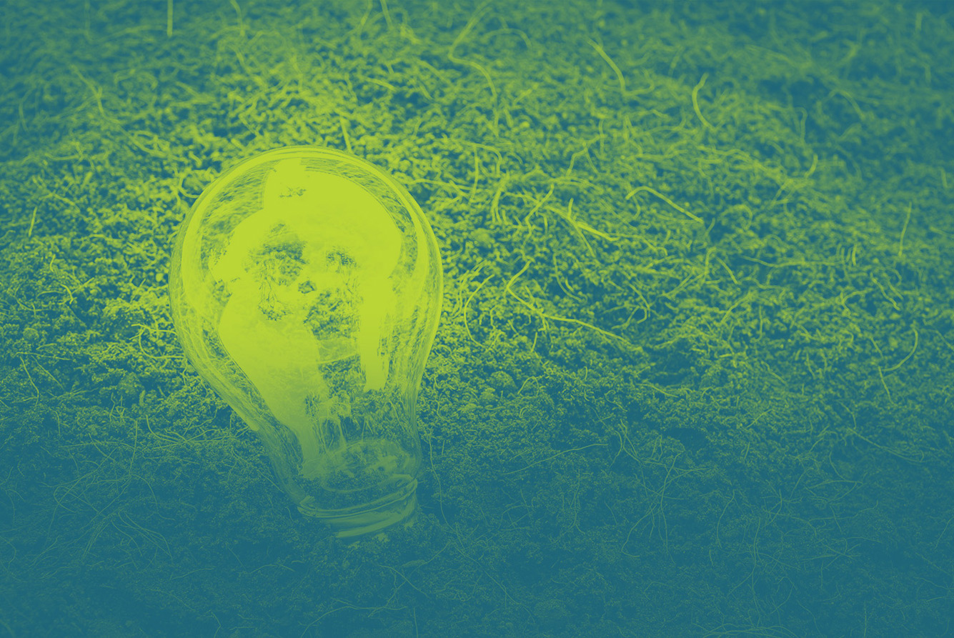 Un comité développement durable chez ROZO